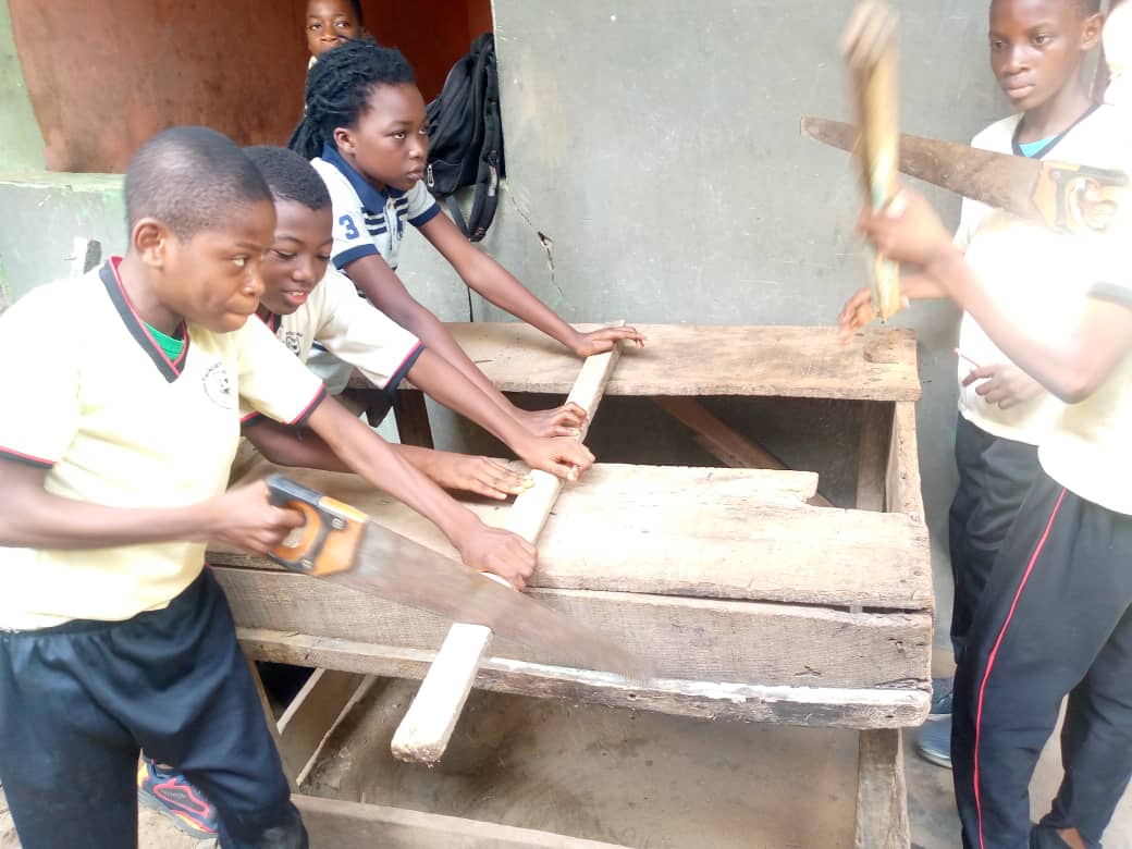 The Root Of David Trod College