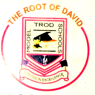 The Root Of David Trod College